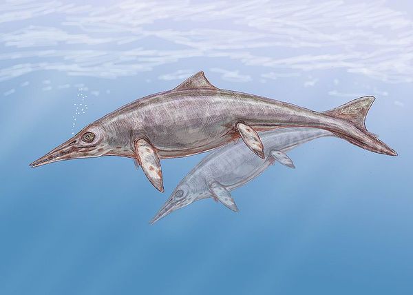 Mesozoikum – Oteripedia